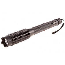Baton Stun with LED Flashlight - Spartan Handgun Training